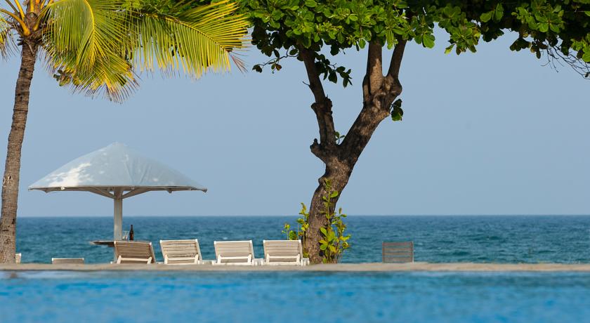 චායා බිලු